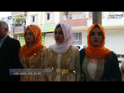 halay BÖYLE OLUR (URFA EYÜBYE ) 4k ultra - 13.03.2022/Part 2 #FOTOGÜVEN® #KOMAPERWER