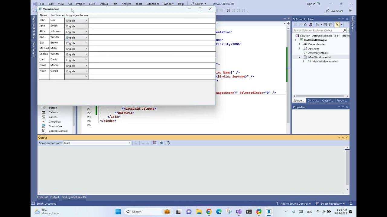 WPF Data Grid: Custom Controls - YouTube