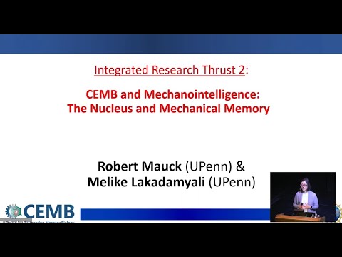 CEMB and Mechanointelligence: Nucleus and Mechanical Memory - YouTube