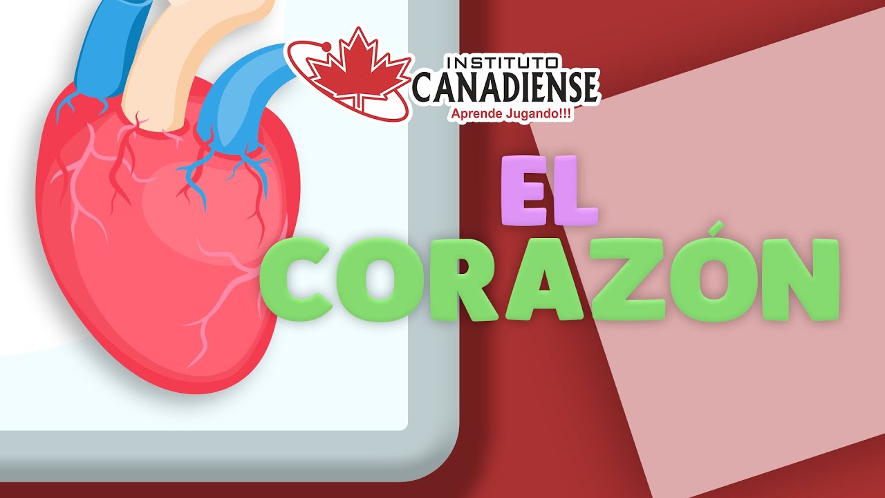 El Corazon - YouTube