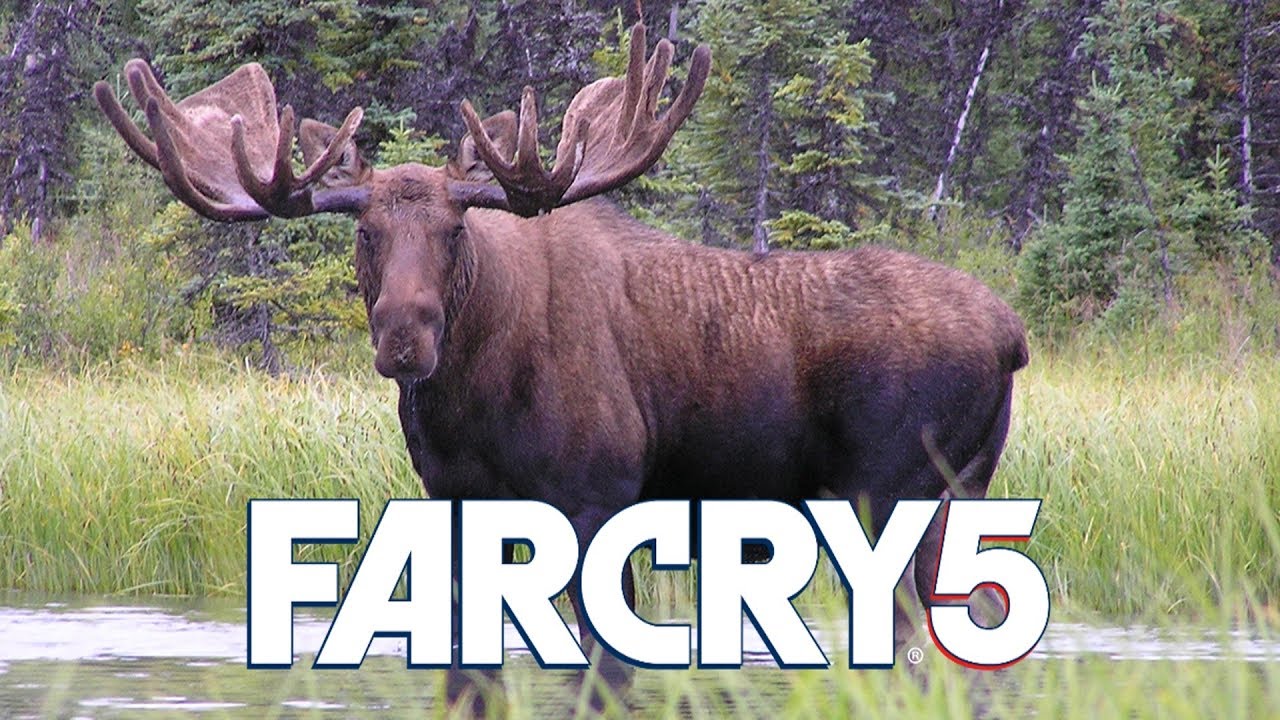 FAR CRY 5 HOW TO KILL A JUDGE MOOSE! - YouTube