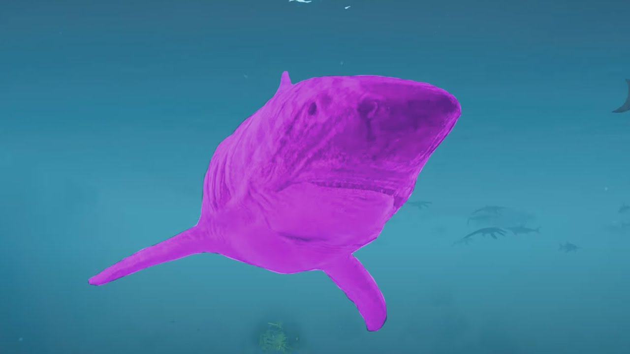 Megalodon Shark Swimming & Eating food 4k video - for kids to WATCH ...