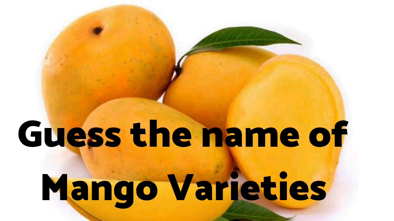 Whatsapp Quiz with Answers - Guess the name of Mango Varieties - YouTube