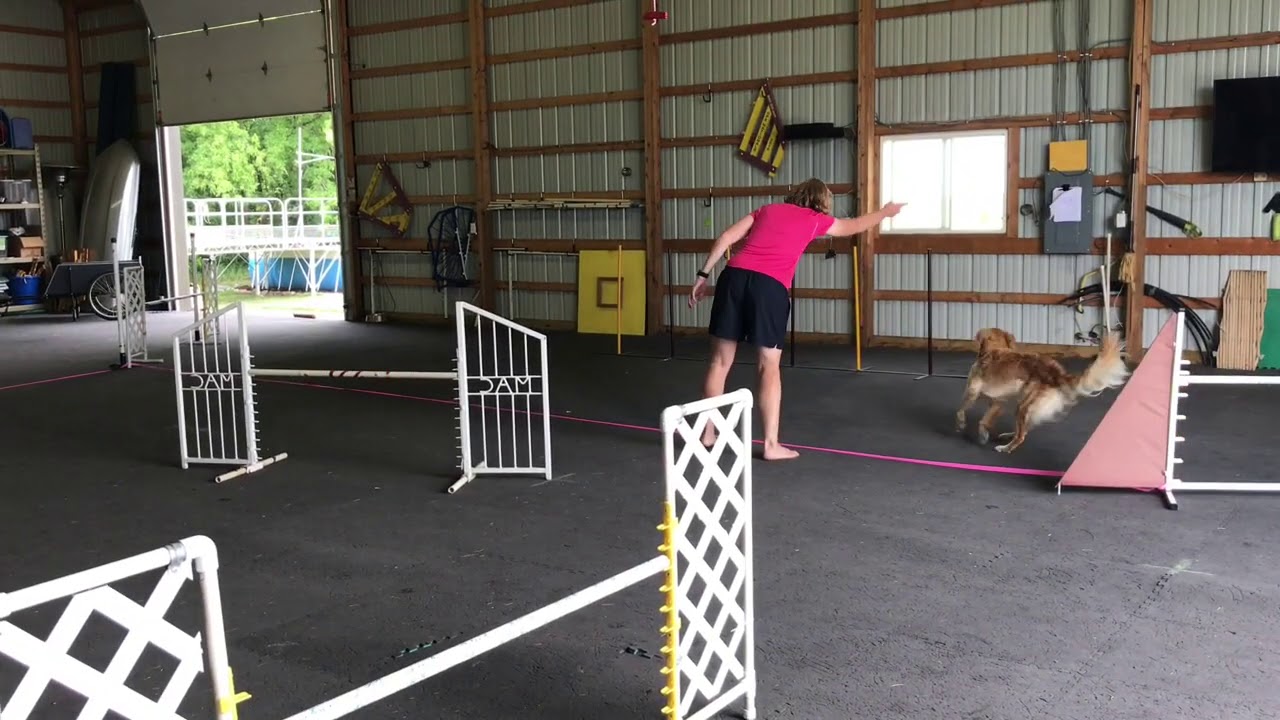 USDAA Adv Gamblers Course 1 July 15 to 23 - YouTube