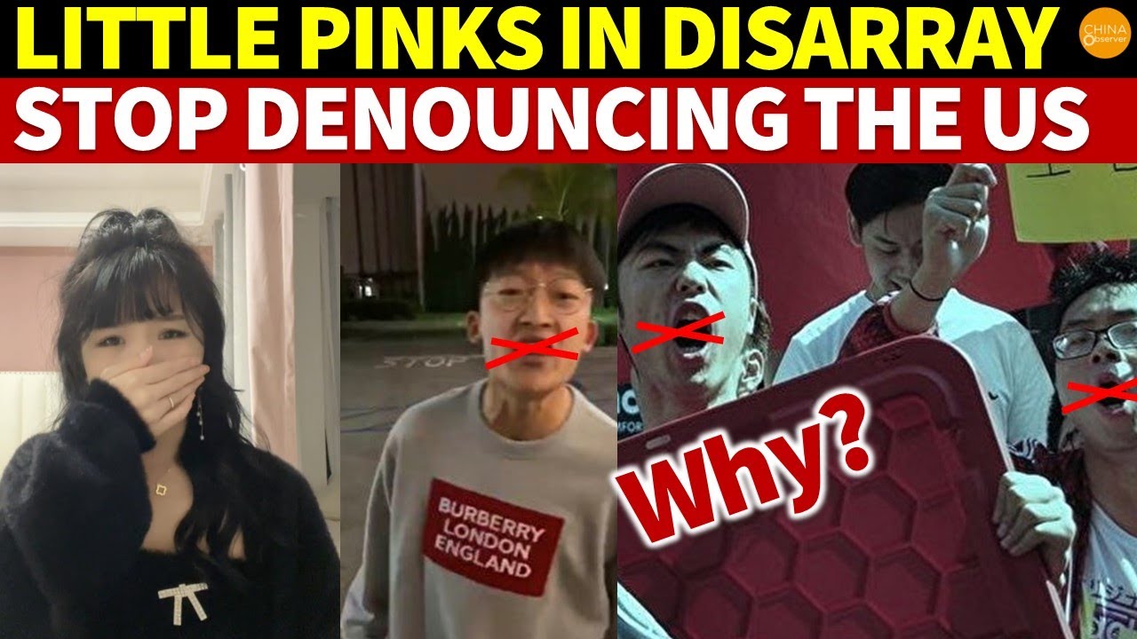 Little Pinks in Disarray, SUDDENLY Stop Denouncing the US, Why? - YouTube