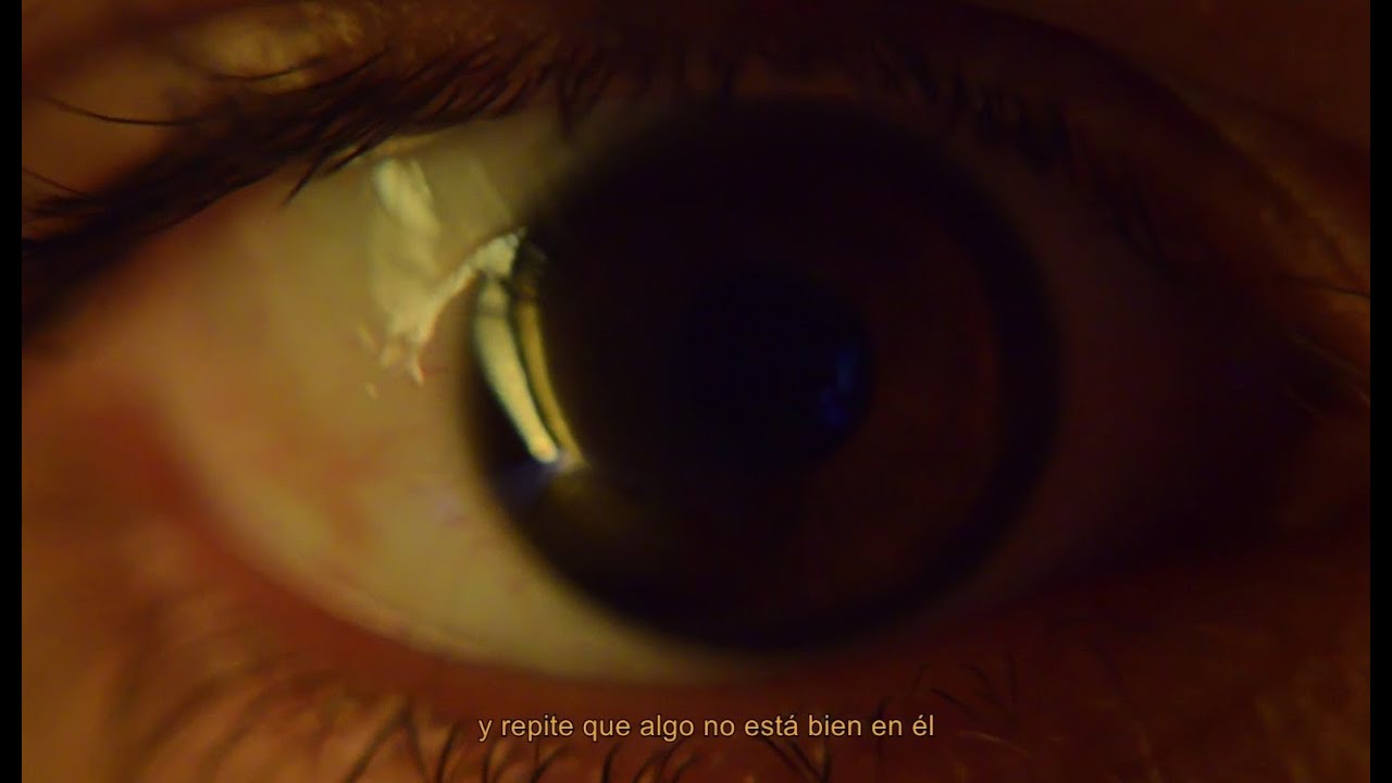 Trailer: “Reflejos de una mente rota” - YouTube