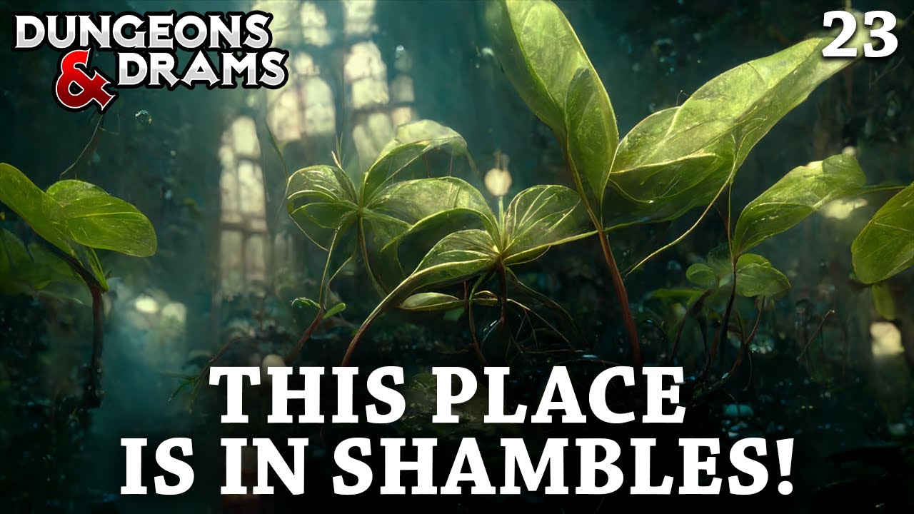 This Place is in Shambles! | Dungeons & Drams | Episode 23 - YouTube