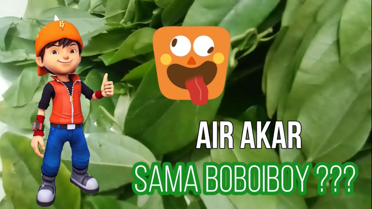 Cara Membuat Air Akar atau Cincau Hijau - YouTube