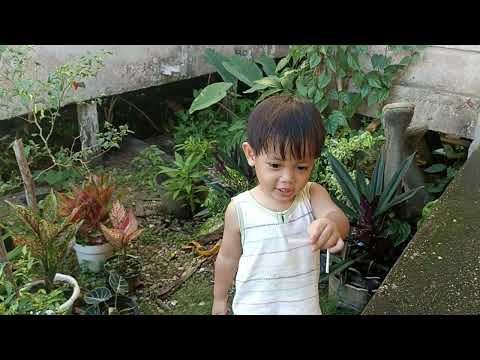 Kegiatan Bocil di halaman rumah. Pecinta @BabyBusID