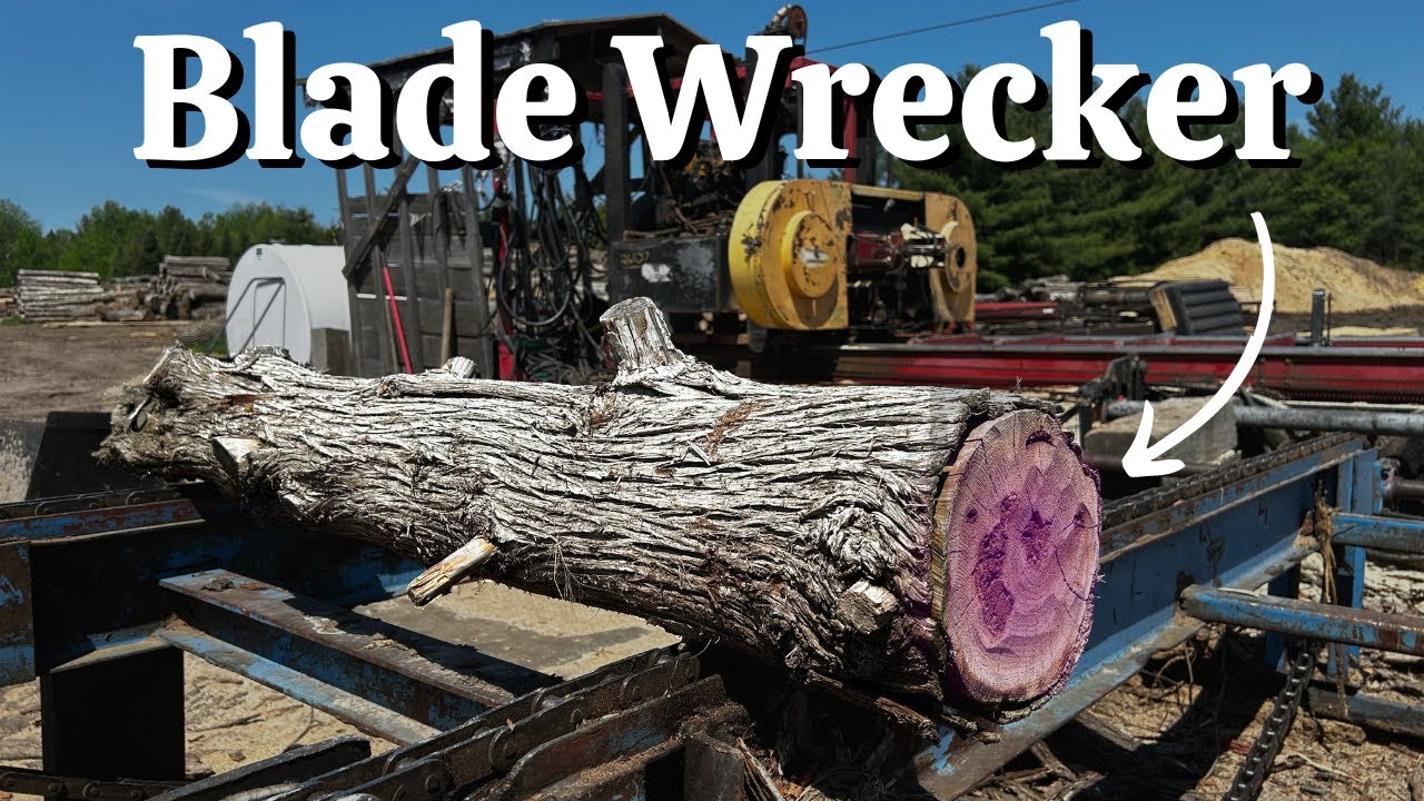 This TINY Aromatic Eastern Red Cedar Log Packed a BIG Punch! - YouTube