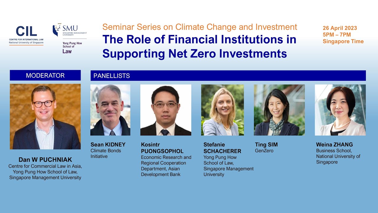 The Role of Financial Institutions in Supporting Net Zero Investments ...