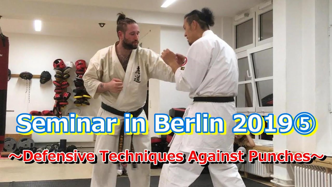 【Seminar in Berlin 2019⑤】〜Defensive Techniques Against Punches〜 - YouTube