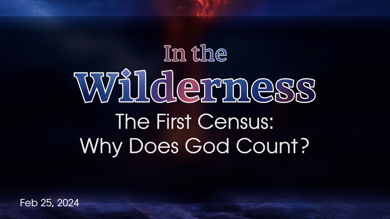 Numbers - In the Wilderness - The First Census: Why Does God Count ...