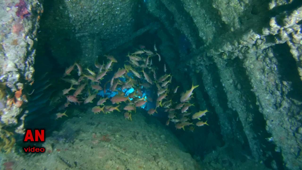 Diving on the wreck «SS Dunraven». Red sea, Egypt - YouTube