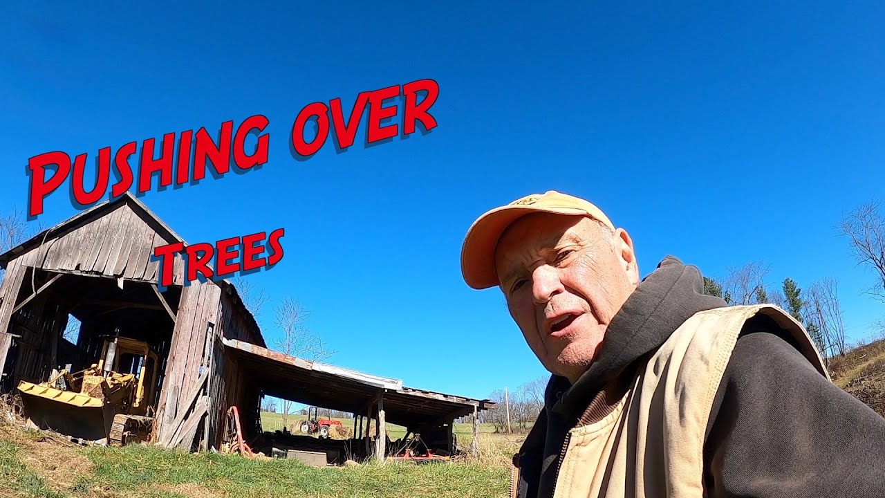 Pushing over trees ...with a Caterpillar loader - YouTube