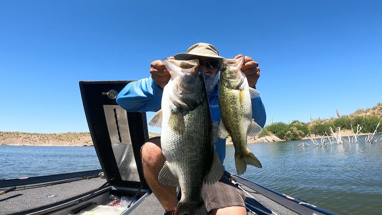 Best Fishing Video Yet | Winning Angler Of The Year! - YouTube