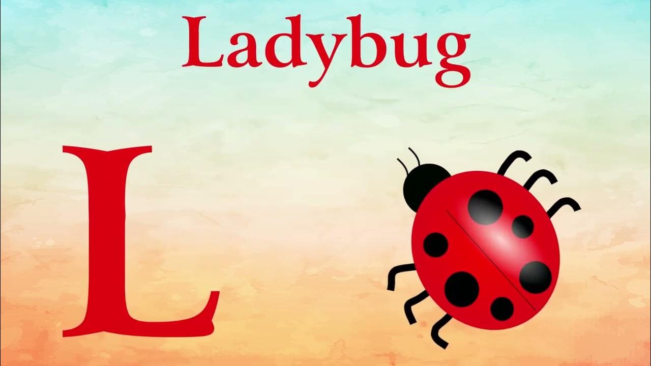 10 words start with L alphabets || Phonics song || L for ladybug ...