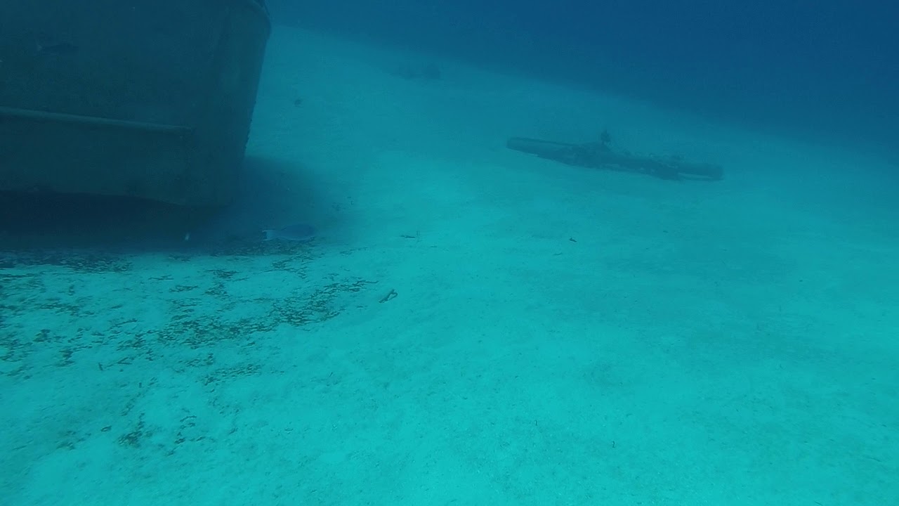 Stuart's Cove/Carnival Cruise Scuba Dive - YouTube