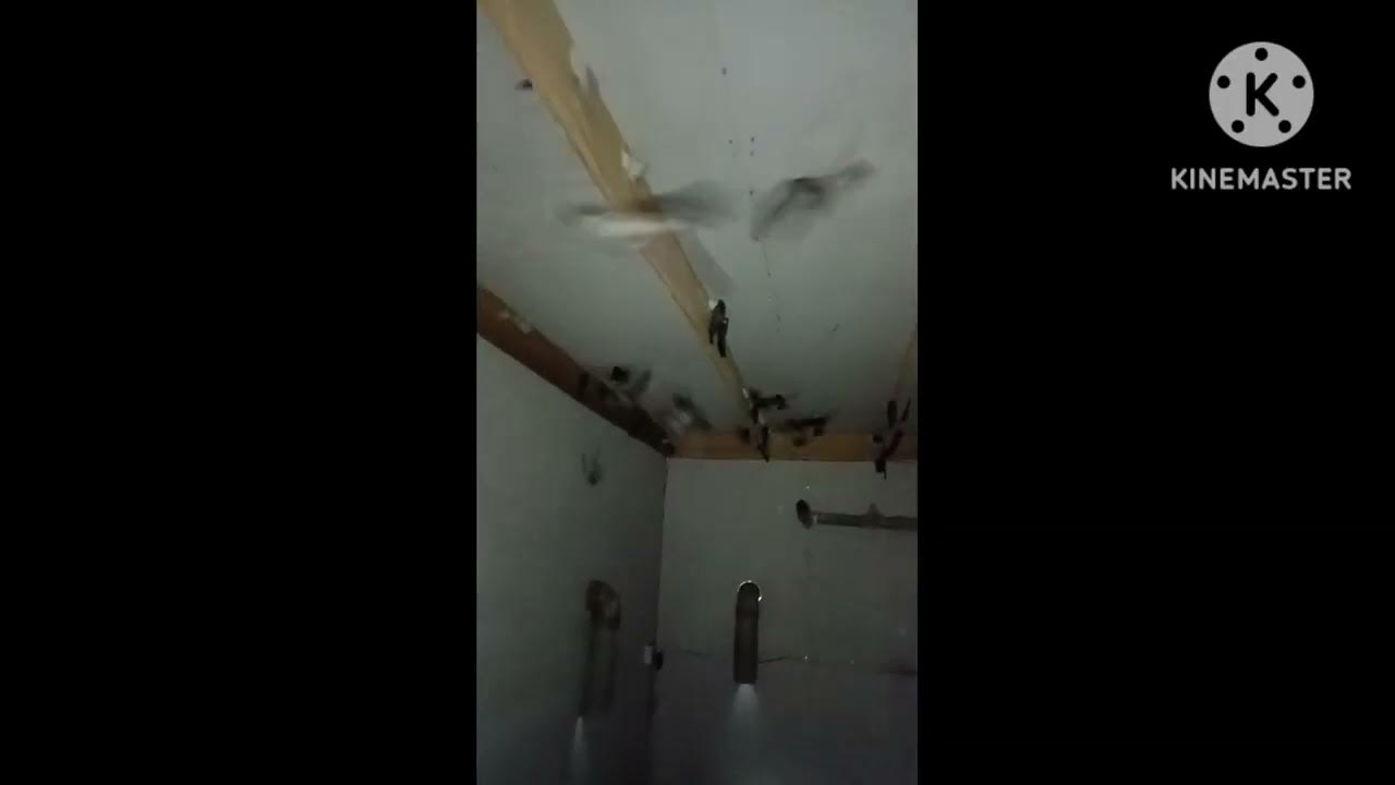 RBW 2024 mantap guys - YouTube