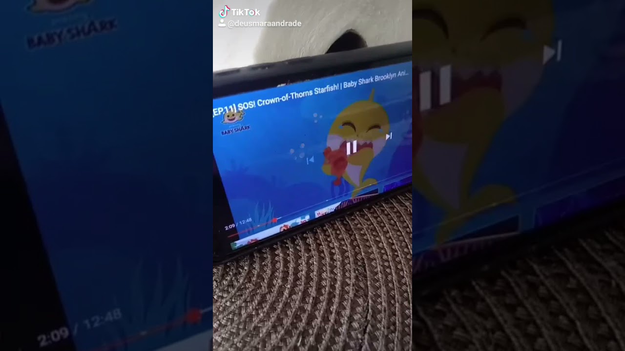 baby shark crying wht sound picapau - YouTube