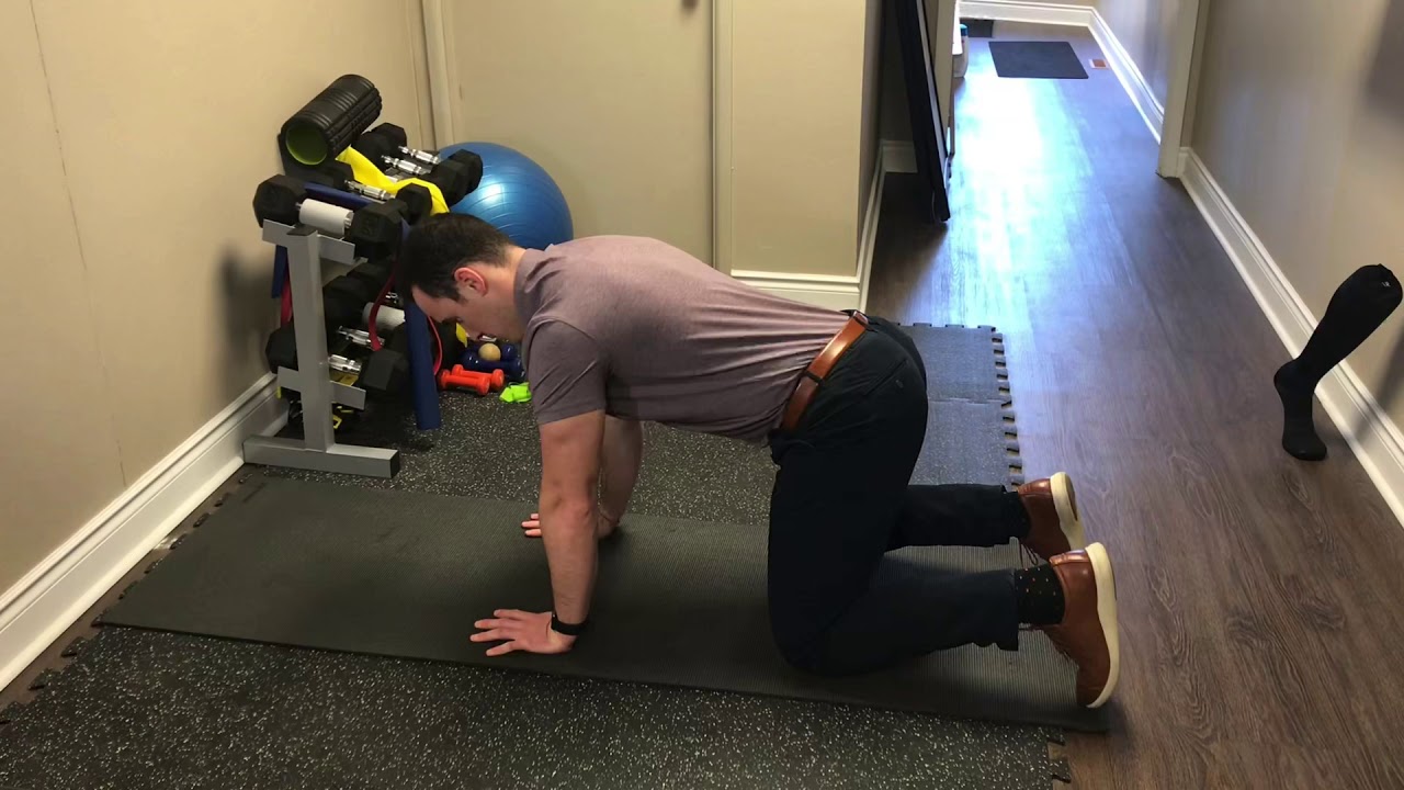 Core Stability- Bird Dog - YouTube