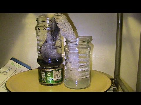 Life Hack - Simple Survival Hack - Clean Water - Filtering Muddy Water ...