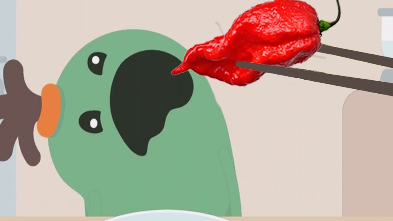 Fun Cooking Kids Games - Cooking Yummy Food With Dumb Ways JR Boffo's ...