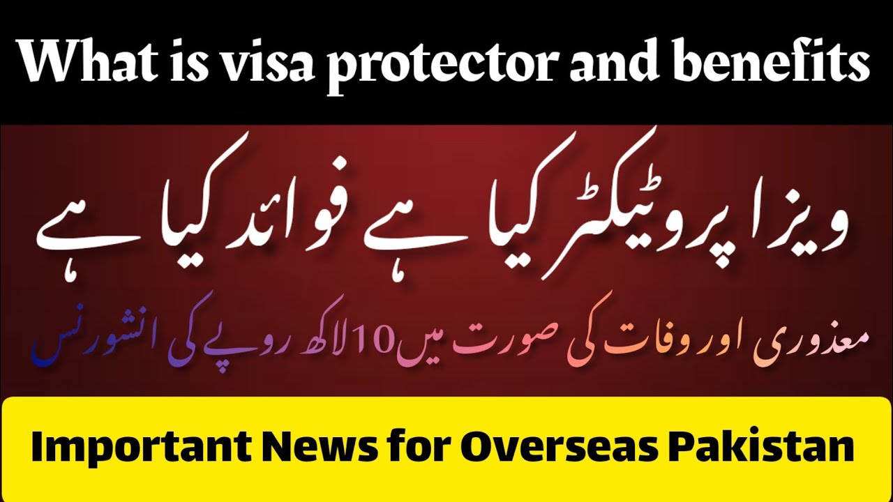 What is visa protector|Visa protector benefits|Visa protector in ...