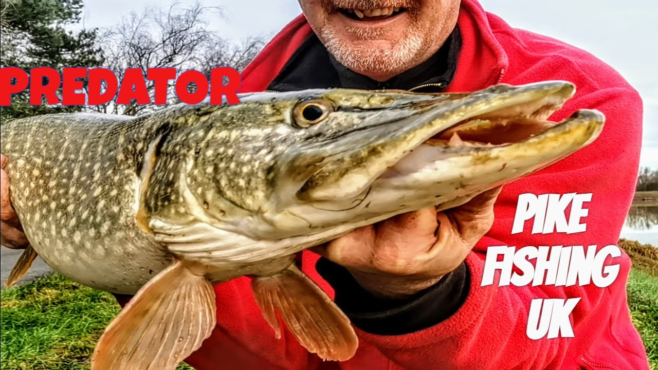 Pike fishing UK : The agony and the ecstasy of the Pike angler - YouTube