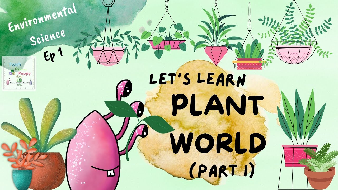 Plants for Kids | Plant Kingdom | Environmental Science for Kids | #gk ...