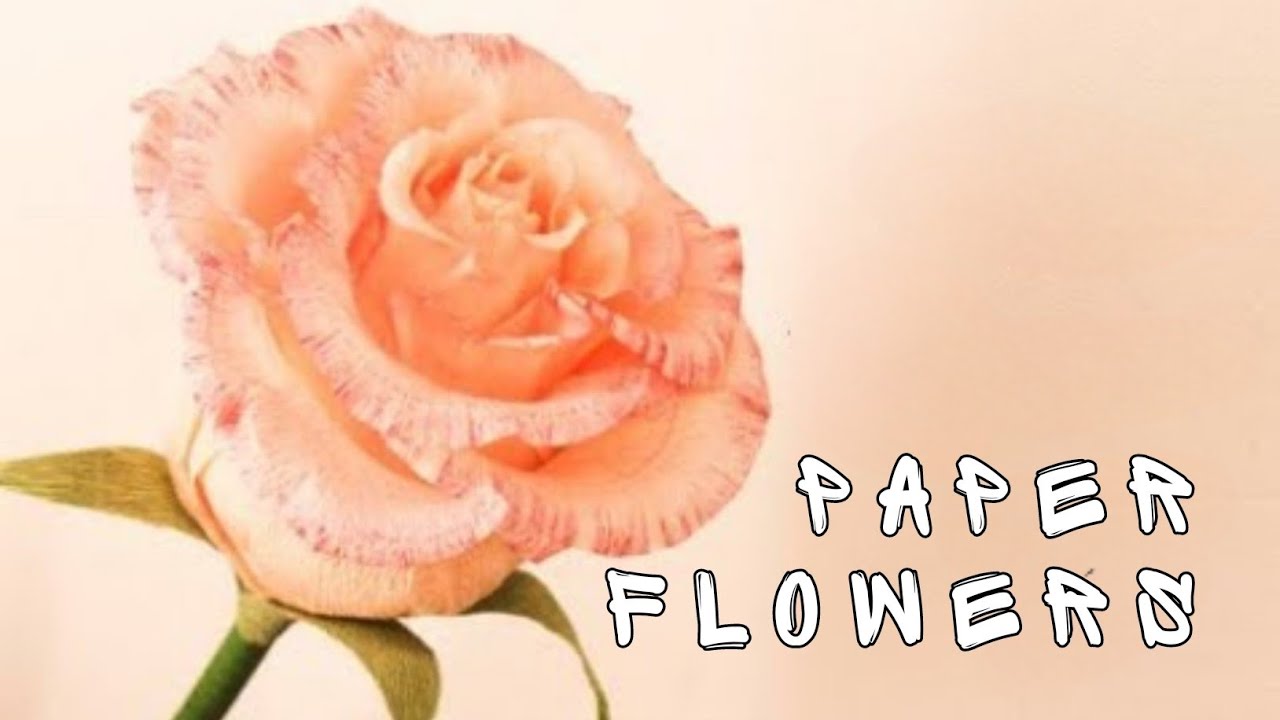 Unbelievable DIY: Craft Wonder Paper Flowers - YouTube