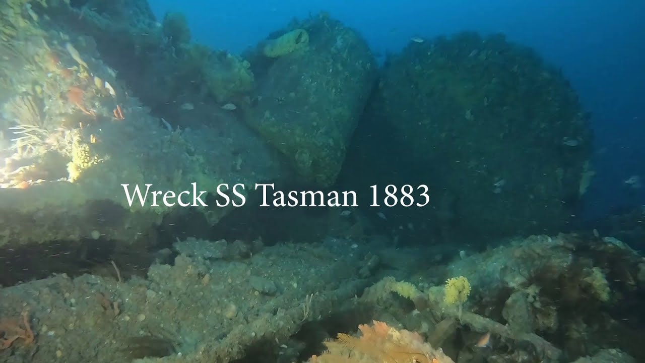 Wreck SS Tasman 2019 - YouTube