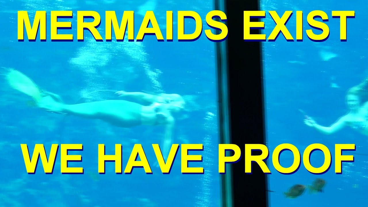 MERMAIDS EXIST AND ARE BEING EXPLOITED! UNDENIABLE PROOF! - YouTube