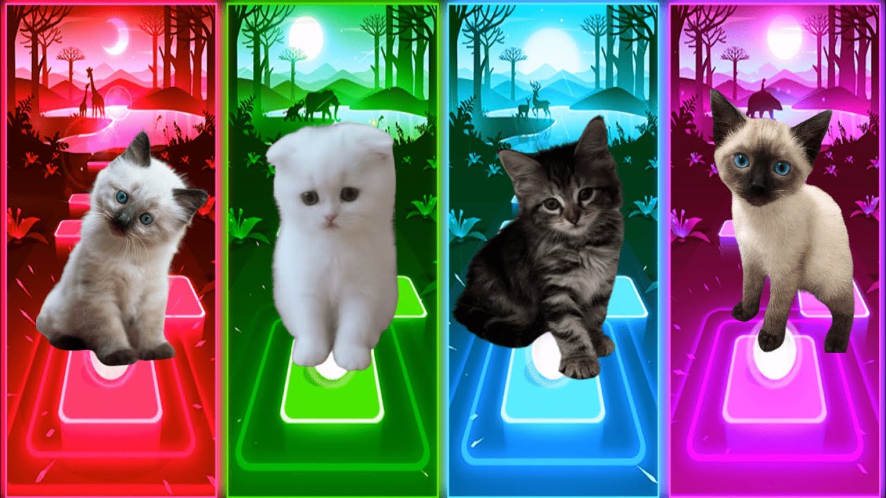 CUTE CATS JENNIE SOLO BTS DYNAMITE SHAKIRA WAKA WAKA JISOO FLOWER in ...