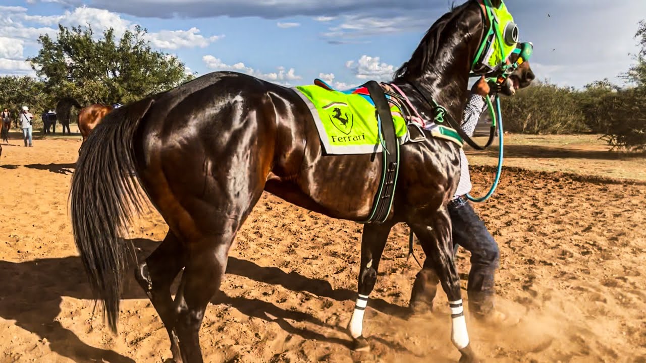 Demostró Su Poderío En Una Abierta | El Nuevo Pollero Está De Vuelta ...