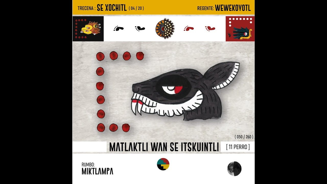 Tonalli Matlaktli Wan Se Itskuintli / 11 Perro Lectura e interpretación ...