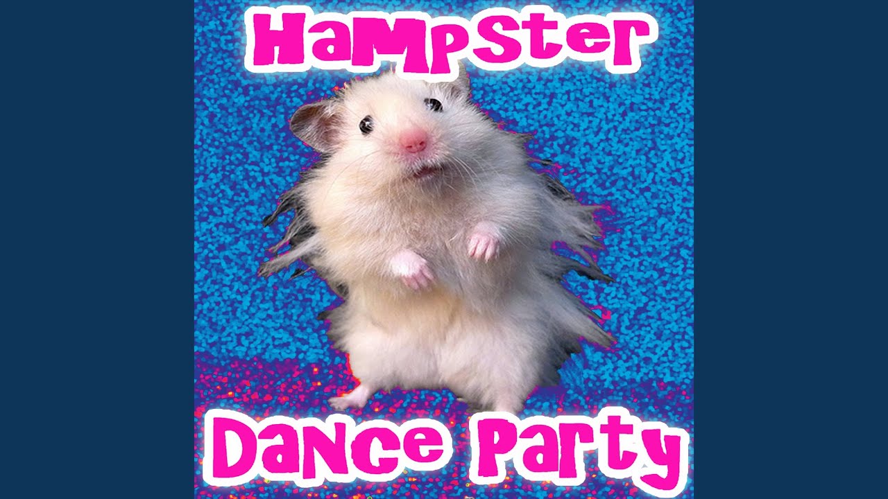 The Hampster Dance (Party Mix) - YouTube