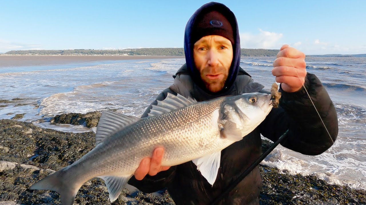 Bristol Channel Fishing- Almost Beaten By The Bass - YouTube