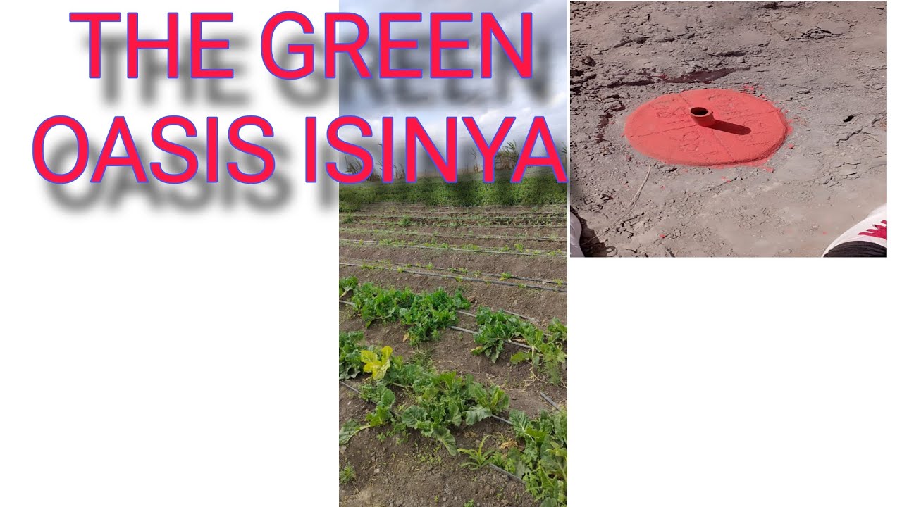 THE GREEN OASIS ISINYA/MILESCOOP VENTURES LIMITED - YouTube