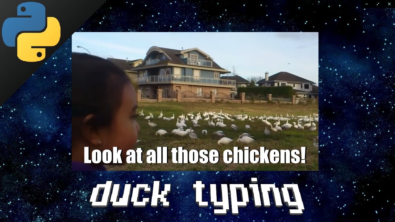 Python Duck Typing 🦆 Youtube 3509