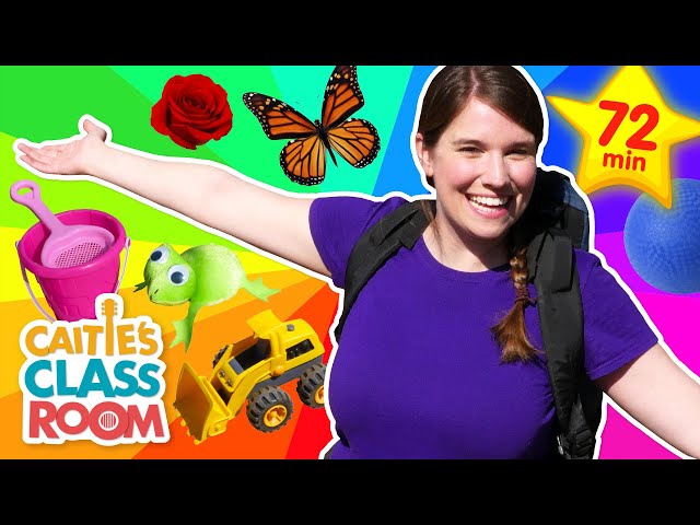 Learn Colors & More! | Caitie's Classroom Field Trips | Toddler ...