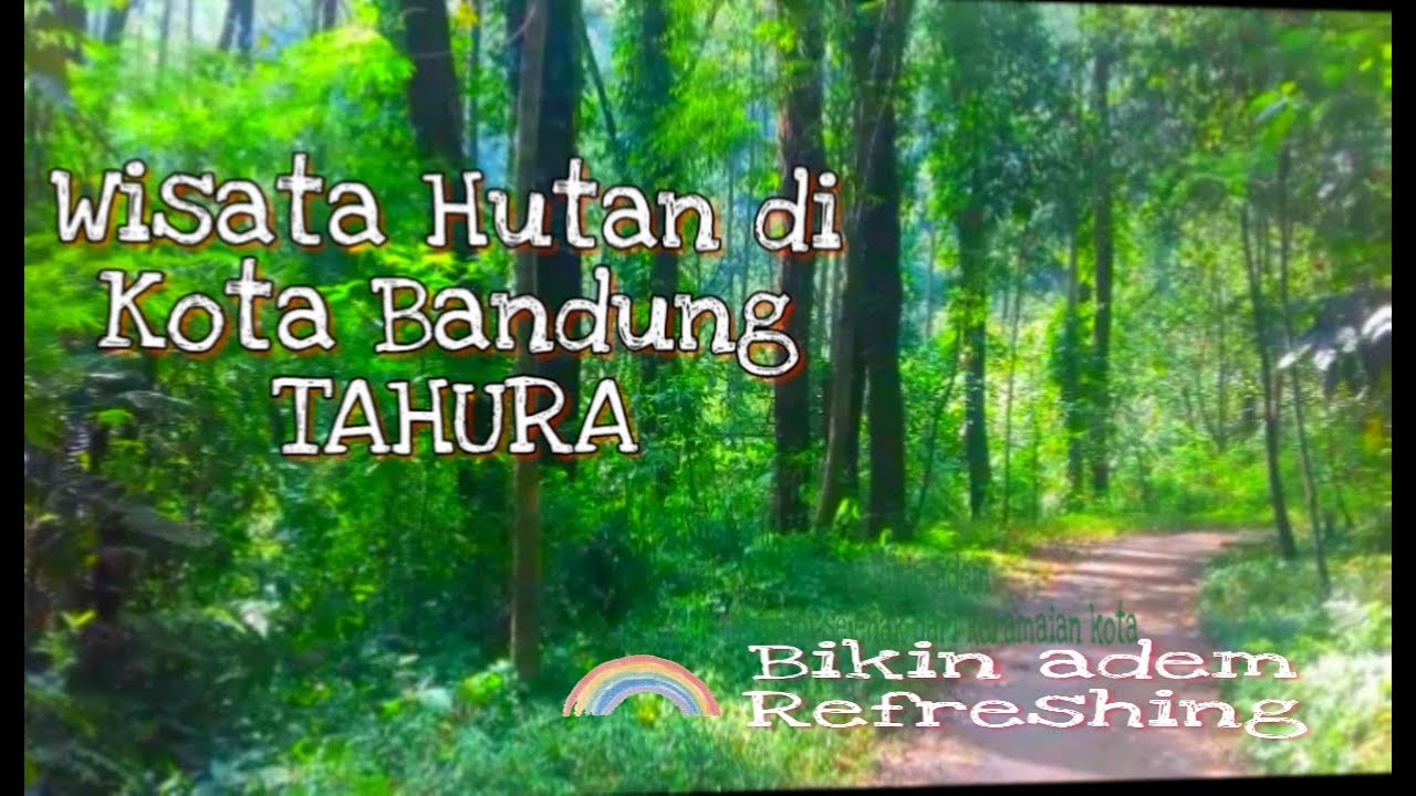 Wisata Hutan di Kota Bandung TAHURA Jogging Track Nuansa Alam - YouTube