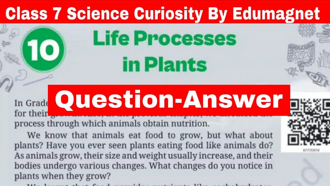 NCERT Class 7 Science Curiosity Chapter 10 Question Answer Life ...