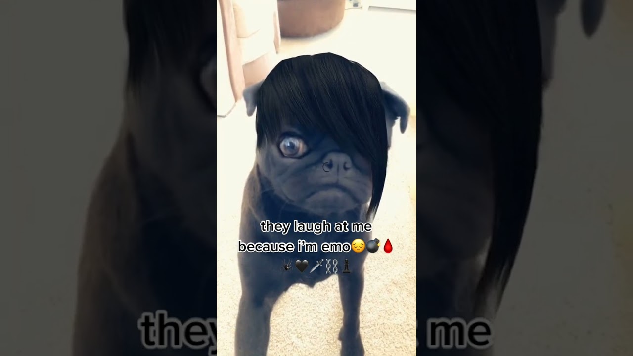 They laugh at me because I'm emo 😔 #shorts #funny #emo #meme - YouTube