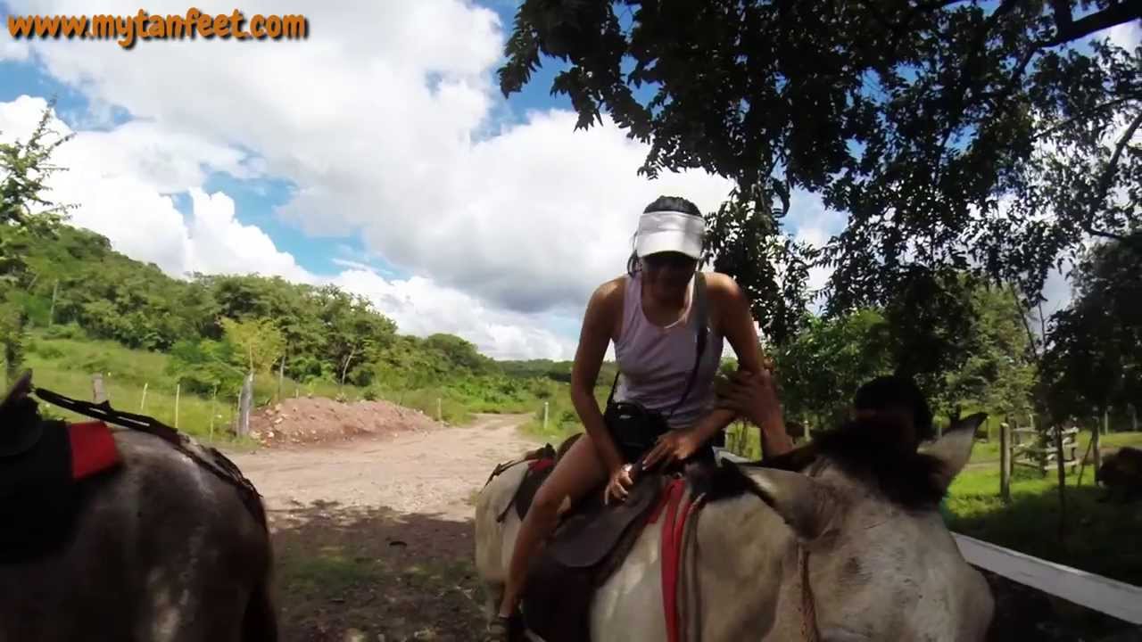 Black Stallion Hills - Sunset Canopy, Horseback Riding, Fiesta BBQ ...