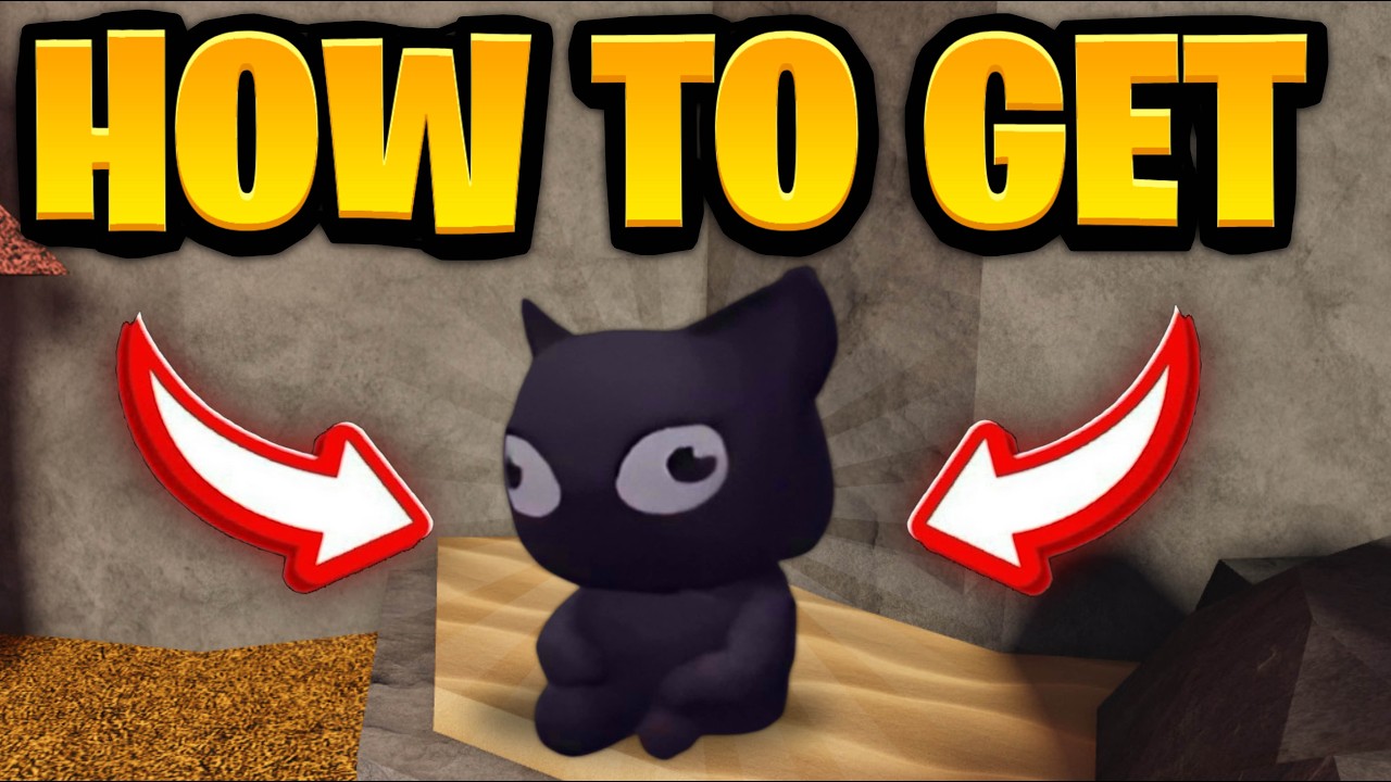 How To COMPLETE TOMOS LOST CAT QUEST In The Forge! (Tomo's Cat Location ...