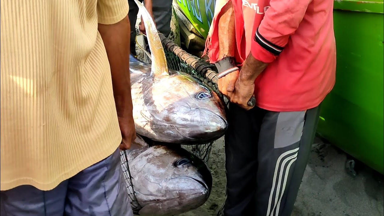 AMAZING, Mancing Tuna Double STRIKE Nelayan Jangka - YouTube