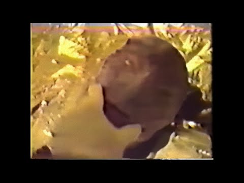 Dr. Jonathan Reed - Alien Encounter and Examination - 1996 - restored video and photographs