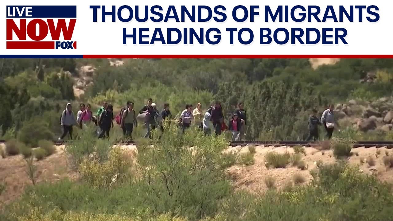 Migrants head to southern border ahead of presidential election - YouTube