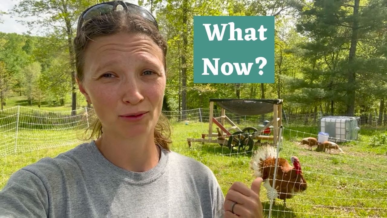 Another Lesson Learned - YouTube